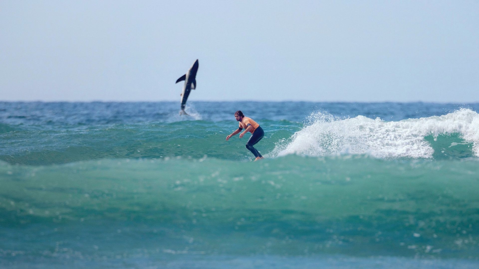 Is Surfing Dangerous? 13 Common Risks of Surfing – Boost Surfing